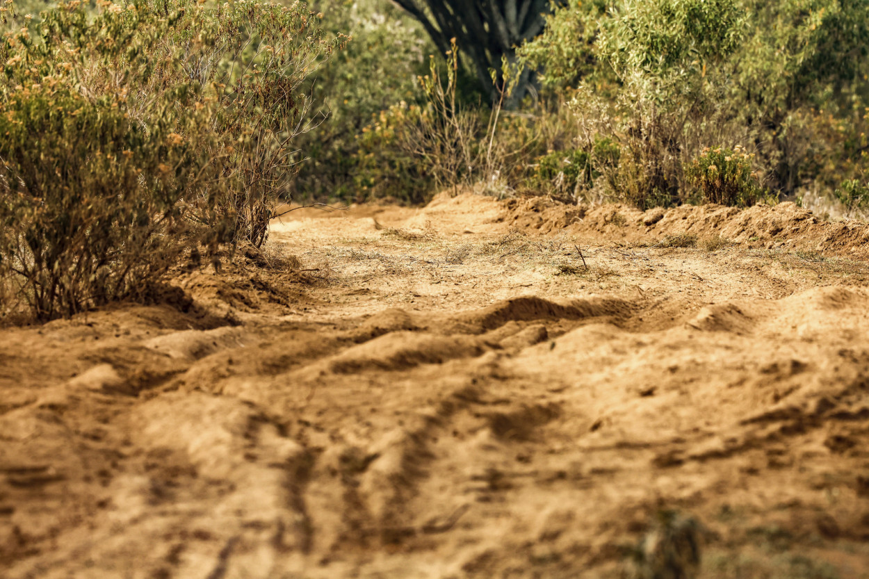 Safari Rally Kenya 2023 Preview – ThePitcrewOnline